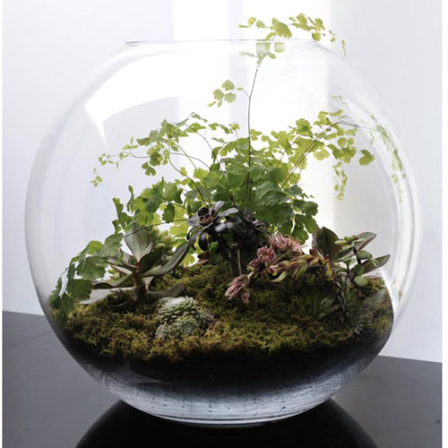 Flowering your home sweet home