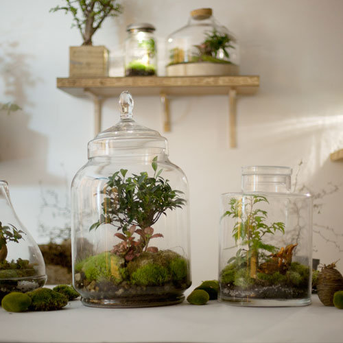 Green Factory, the boutique for plants that need no watering
