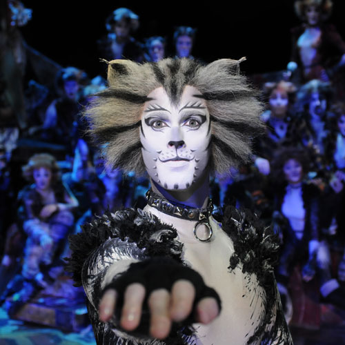 Save the date: CATS, the musical comedy