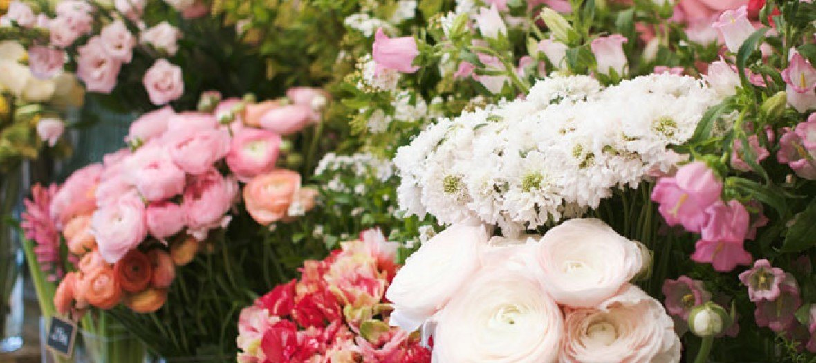 Fleuristes Paris