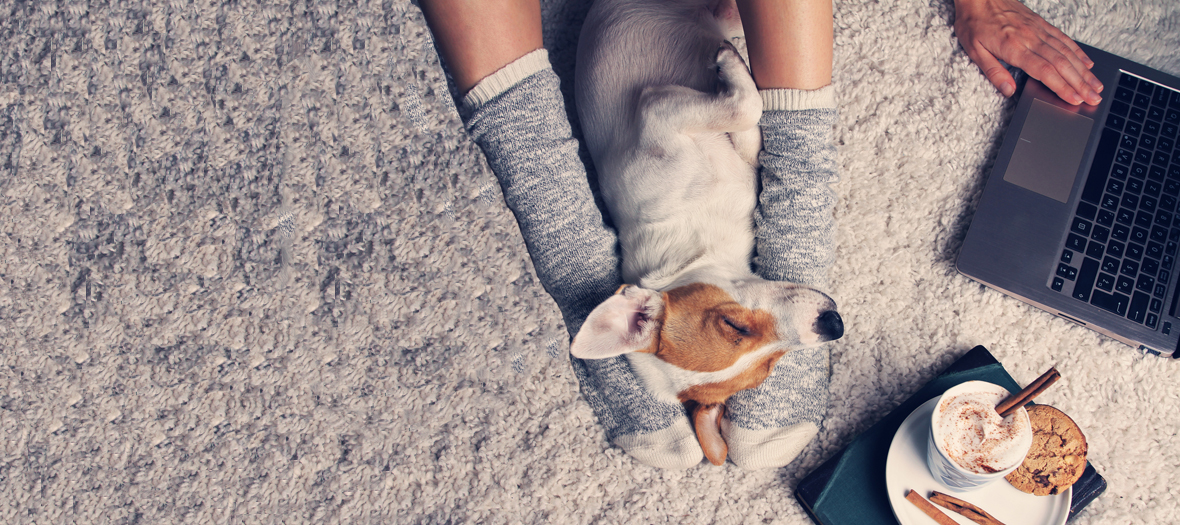 Lily’s Kitchen, the healthy and pet friendly croquettes