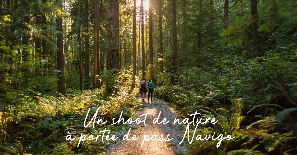 Où se promener en forêt sans voiture à côté de Paris