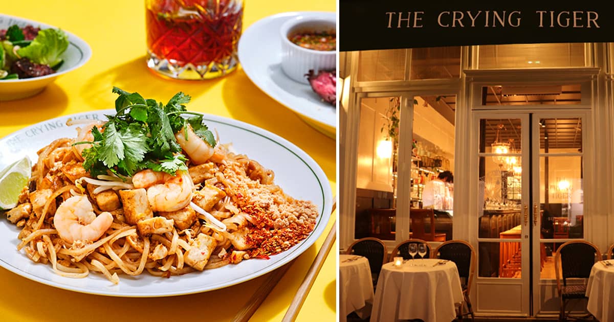 The Crying Tiger: the new Thai bistro that gives atmosphere to the 6th