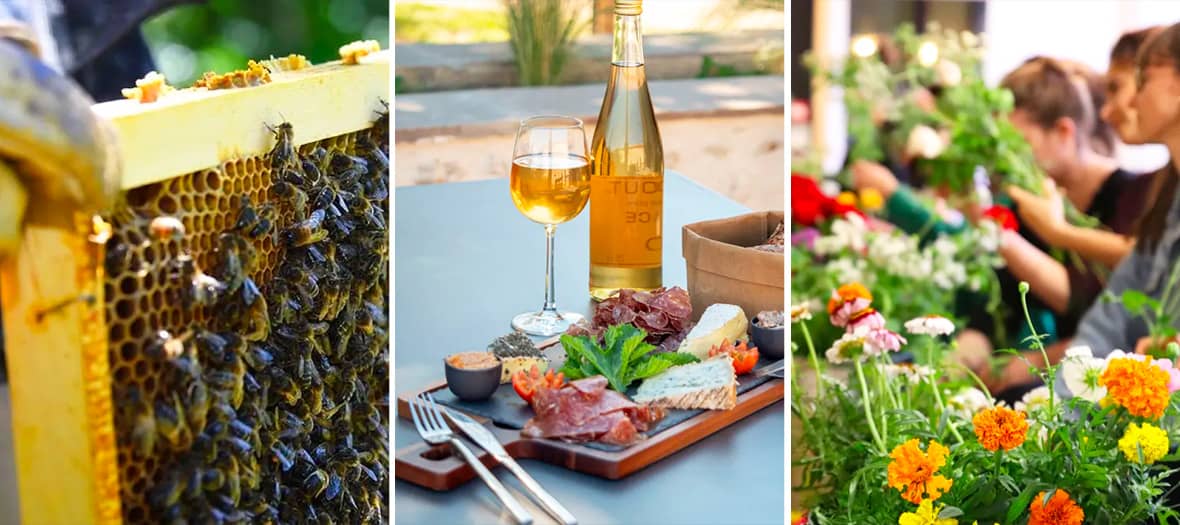 Les expériences les plus folles pour un boost d’adrénaline